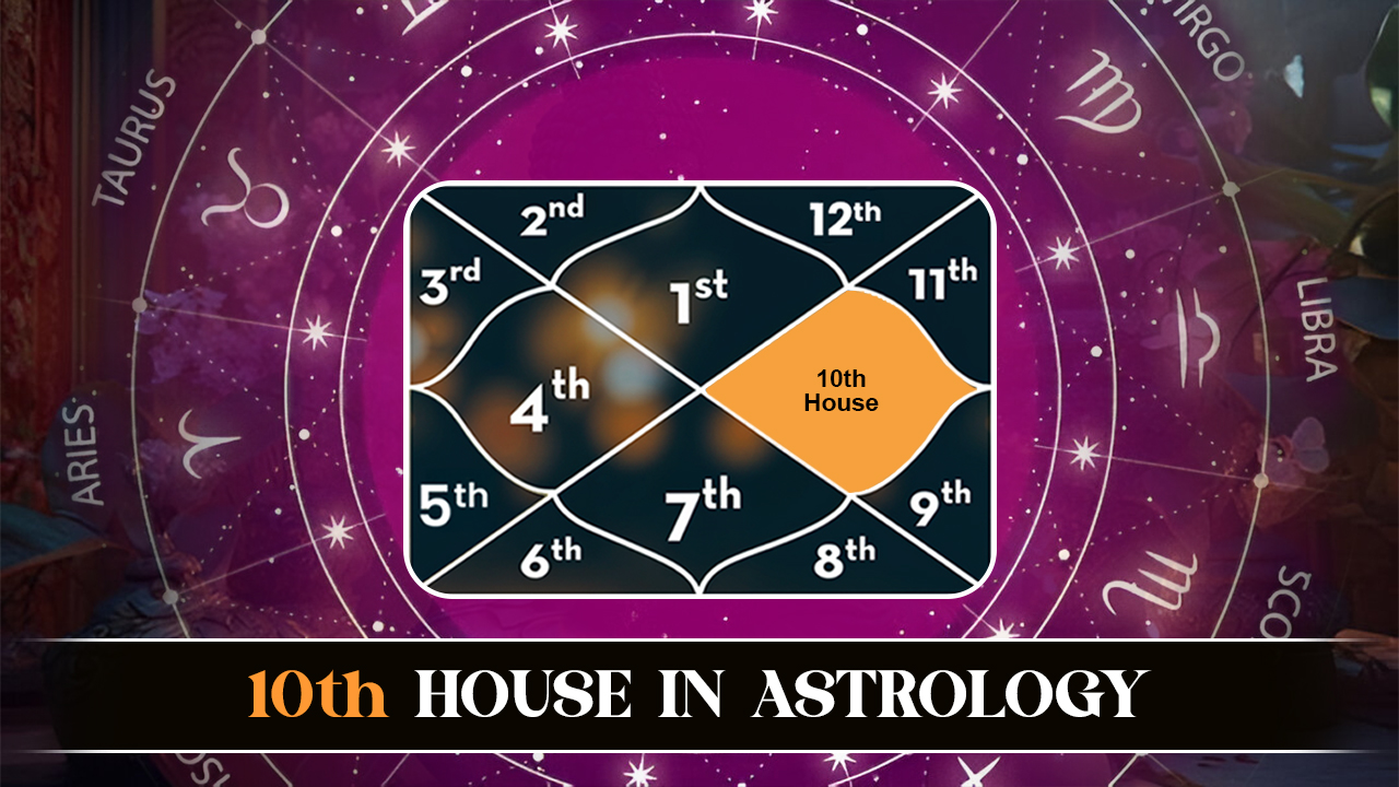 10th House in Astrology: Unlocking Your Career and Public Image