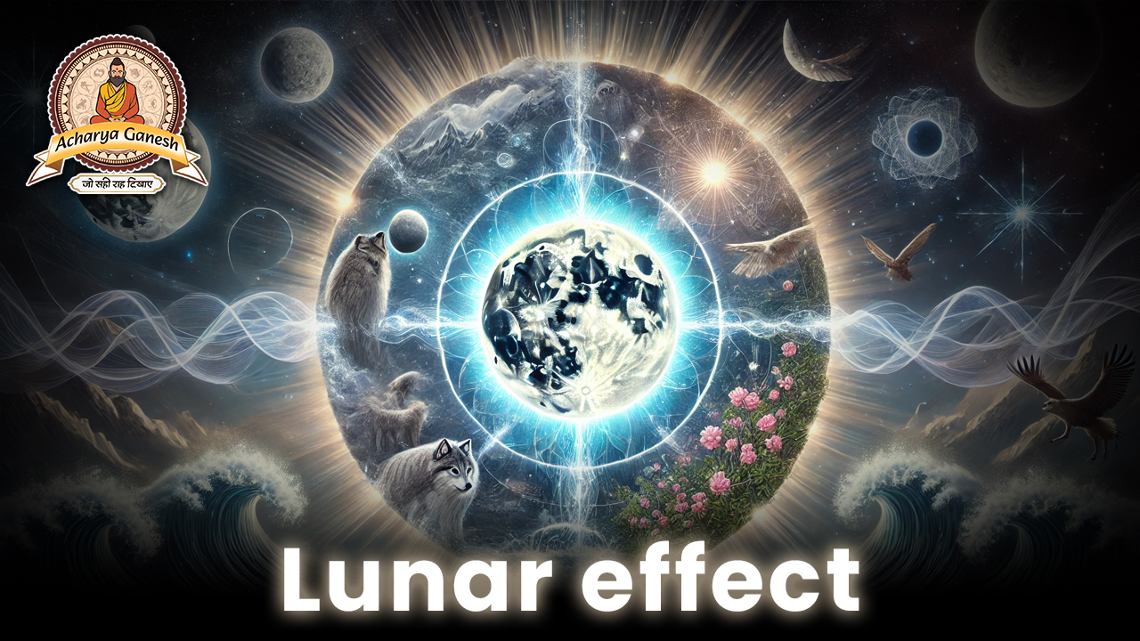 The Lunar Effect: How the Moon Shapes Your Daily Life
